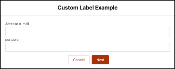 How to Use Custom Labels in Lightning Web Components - HanovConsulting Blog